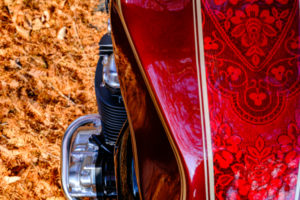 CB1100 メタセコイア並木とススキの原 | CB1100と共に